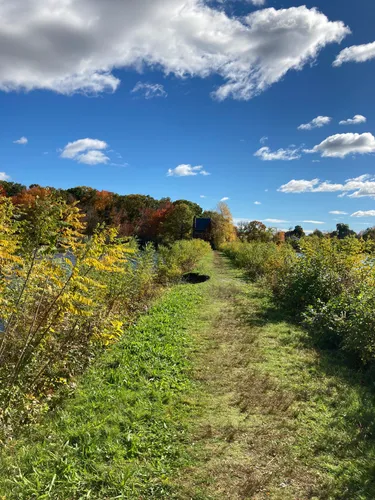 Best Hikes and Trails in Farm Pond Park | AllTrails