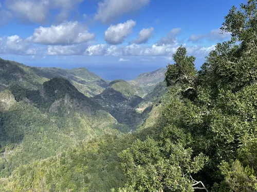 10 Best Trails and Hikes in Madeira | AllTrails