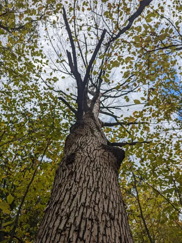 Best Hikes and Trails in Ableman's Gorge State Natural Area | AllTrails