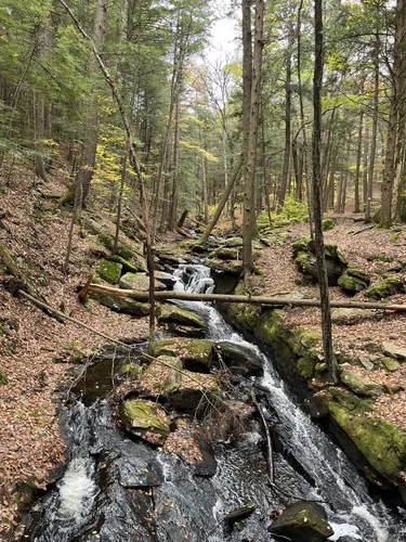 Best Hikes and Trails in Chesterfield Gorge Natural Area/Chesterfield ...