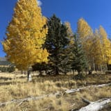 Aspen Nature Loop, Arizona - 2,017 Reviews, Map | AllTrails