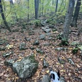 Zoar Trail, Connecticut - 2,045 Reviews, Map | AllTrails