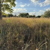 Pawnee Prairie Nature Park North Trail, Kansas - 278 Reviews, Map ...