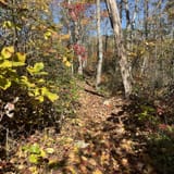 Tuscarora Trail Loop via Lincoln Trail and Fore Trail, Pennsylvania ...