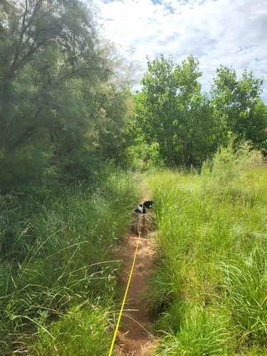 Best Hikes and Trails in Lake Meredith National Recreation Area | AllTrails