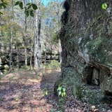 Rim Rock Recreational Trail, Illinois - 704 Reviews, Map | AllTrails