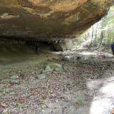 Rim Rock Recreational Trail, Illinois - 704 Reviews, Map | AllTrails