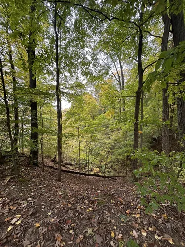 Best Hikes and Trails in Richard Lieber State Recreation Area | AllTrails