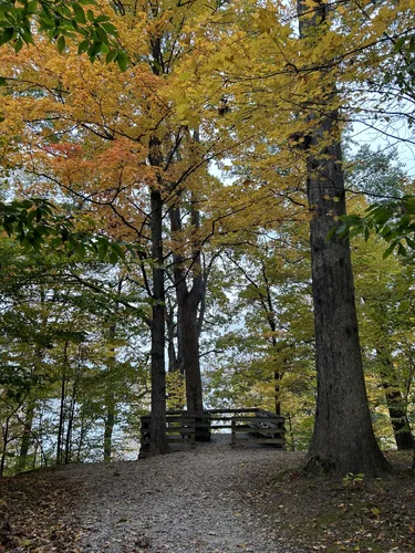 Best Hikes and Trails in Richard Lieber State Recreation Area | AllTrails