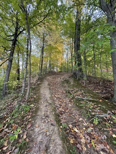 Best Hikes and Trails in Richard Lieber State Recreation Area | AllTrails