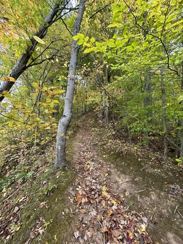 Best Hikes and Trails in Richard Lieber State Recreation Area | AllTrails