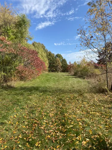 Best Hikes and Trails in Prairie Springs Park | AllTrails