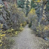 Columbine Trail, Colorado - 1,843 Reviews, Map | AllTrails