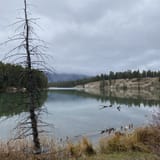 Johnson Lake, Alberta, Canada - 1,578 Reviews, Map | AllTrails
