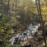 Soco Falls Trail, North Carolina - 681 Reviews, Map | AllTrails
