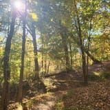 Coral Ridge Loop, Kentucky - 902 Reviews, Map | AllTrails