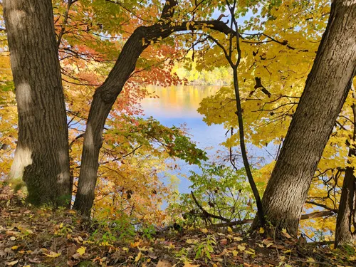 Best Hikes and Trails in Anderson Park | AllTrails