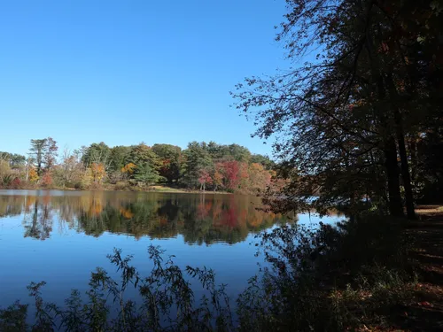 Best Hikes and Trails in Sweet Arrow Lake County Park | AllTrails