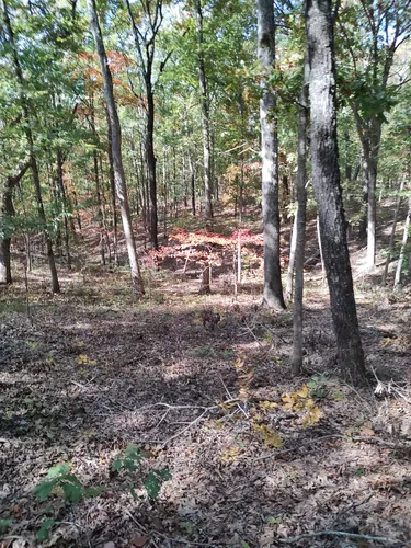 Best 10 Hiking Trails in Devils Backbone Wilderness | AllTrails