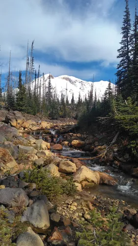 Best Forest Trails in Mount Adams Wilderness | AllTrails