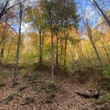 Whirlpool Trail, Ontario, Canada - 716 Reviews, Map | AllTrails