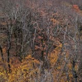 Spruce Hill via Hoosac Range Trail, Massachusetts - 585 Reviews, Map ...