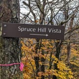 Spruce Hill via Hoosac Range Trail, Massachusetts - 540 Reviews, Map ...