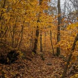 Spruce Hill via Hoosac Range Trail, Massachusetts - 540 Reviews, Map ...