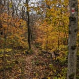 Spruce Hill via Hoosac Range Trail, Massachusetts - 540 Reviews, Map ...