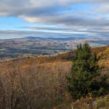 Spruce Hill via Hoosac Range Trail, Massachusetts - 616 Reviews, Map ...