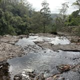 Boomerang Falls, New South Wales, Australia - 38 Reviews, Map | AllTrails