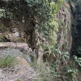 Boomerang Falls, New South Wales, Australia - 38 Reviews, Map | AllTrails