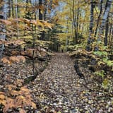 Paine Mountain, Vermont - 183 Reviews, Map | AllTrails