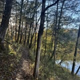 Dam Road, Issaqueena, Rocky and Collarbone Trail, South Carolina ...
