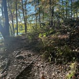 Dam Road, Issaqueena, Rocky and Collarbone Trail, South Carolina ...