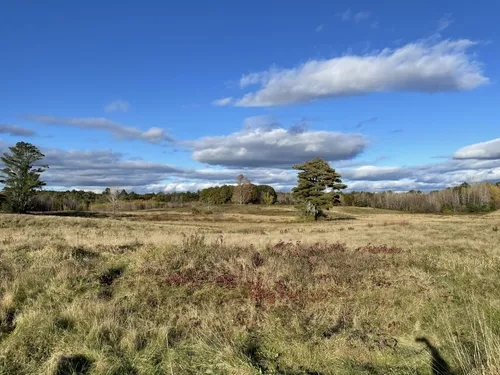 Best Hikes and Trails in Fuller Farm Preserve | AllTrails