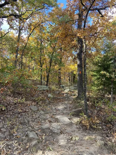 Best Hikes and Trails in Osage Hills State Park | AllTrails