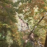 Issaqueena Falls Trail, South Carolina - 812 Reviews, Map | AllTrails