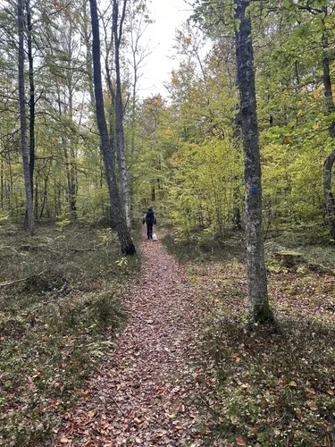 Best Hikes and Trails in Helgö naturreservat | AllTrails
