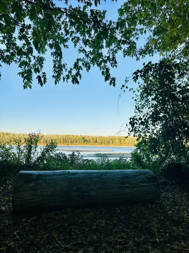 Best Hikes and Trails in Deborah Cooper Park | AllTrails