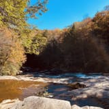Meadow Run Trail, Pennsylvania - 1,063 Reviews, Map | AllTrails