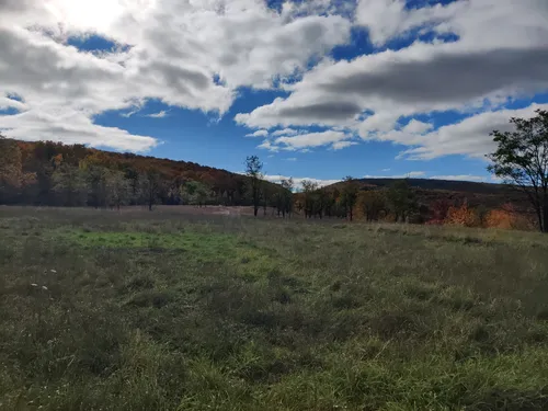 Best Hikes and Trails in Scranton | AllTrails