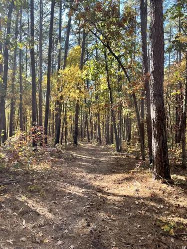 Best Hikes and Trails in Meramec Conservation Area | AllTrails