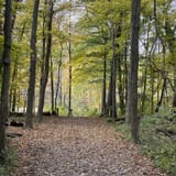 Mount Pleasant, Wildlife Management and Fort Hill Loop Trail, Ohio ...