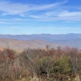 Huckleberry Knob Trail, North Carolina - 612 Reviews, Map | AllTrails