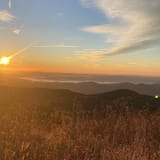 Black Balsam Knob via Art Loeb Trail, North Carolina - 2,206 Reviews ...