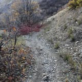 Spring Canyon Trail, Utah - 401 Reviews, Map | AllTrails