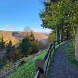 Canyon Vista Trail, Pennsylvania - 820 Reviews, Map | AllTrails