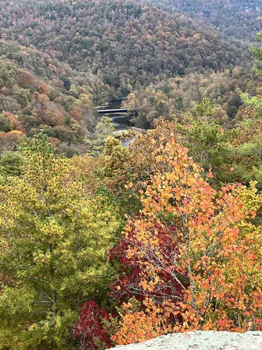 Best Hikes and Trails in Scott State Forest | AllTrails