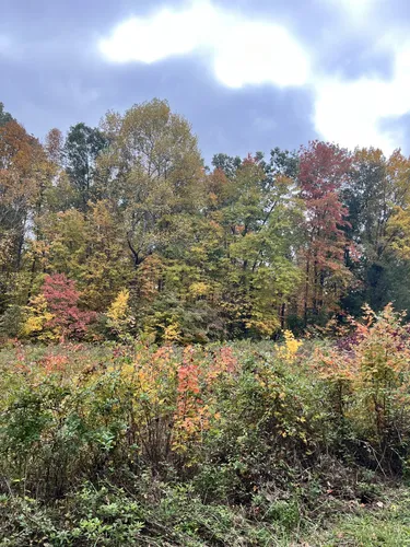 Best Hikes and Trails in Scott State Forest | AllTrails